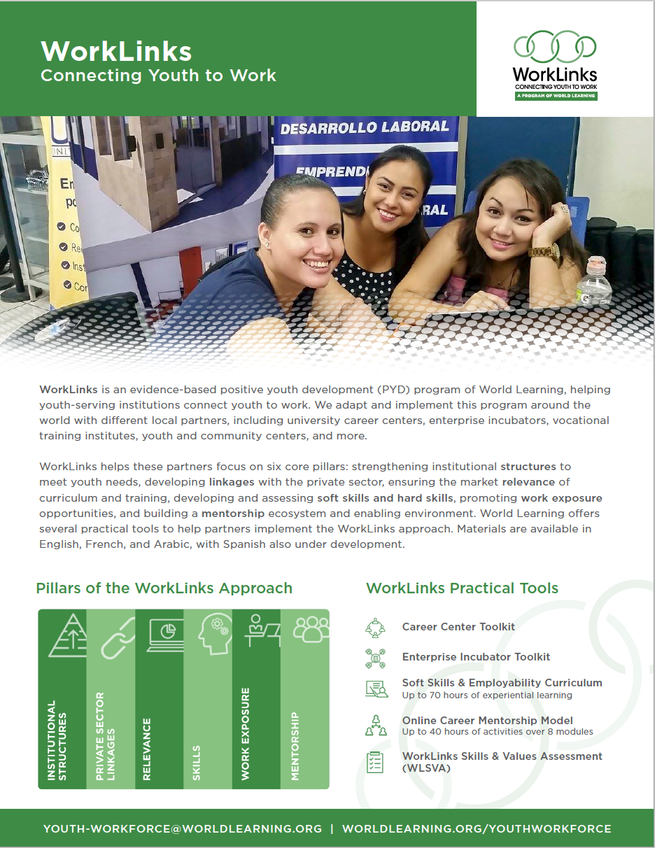 Youth Workforce and Entrepreneurship - World Learning